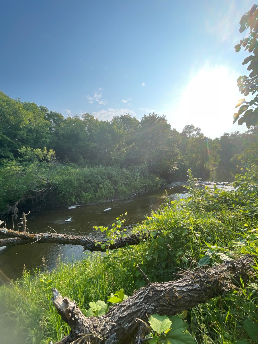 Family Fun at Turtle River State Park: A Delightful Adventure for Young ...